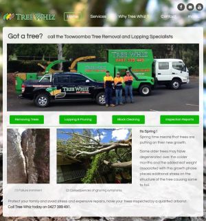 Arborist Inspection and Tree Report Toowoombaper Service Toowoomba